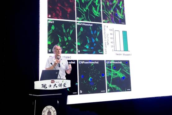 欧洲科学院院士Peter Illes教授走进“华西坝院士大讲堂”-四川大学新闻网